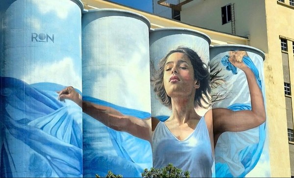 Terminaron el nuevo mural sobre silos Davis: qué empresas lo ...