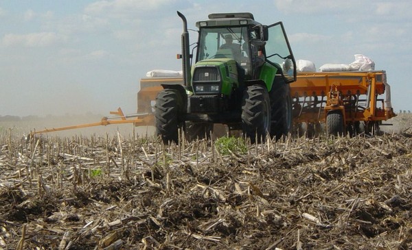La superficie sembrada con soja y maíz es la más baja en 22 años ...